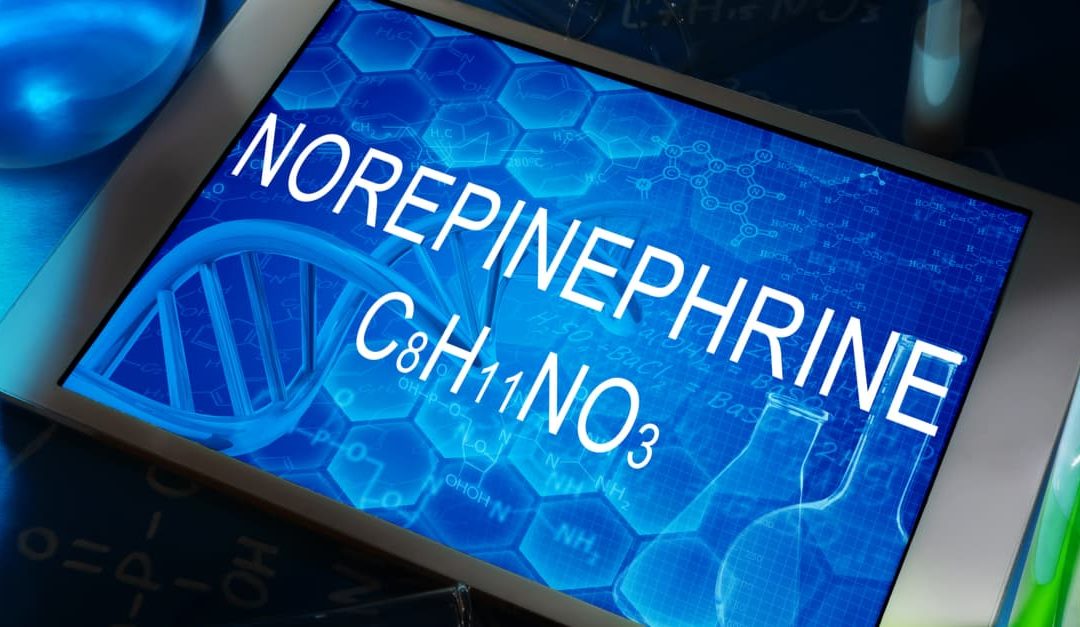 What is Norepinephrine and What Does It Do? - SCALAR LIGHT