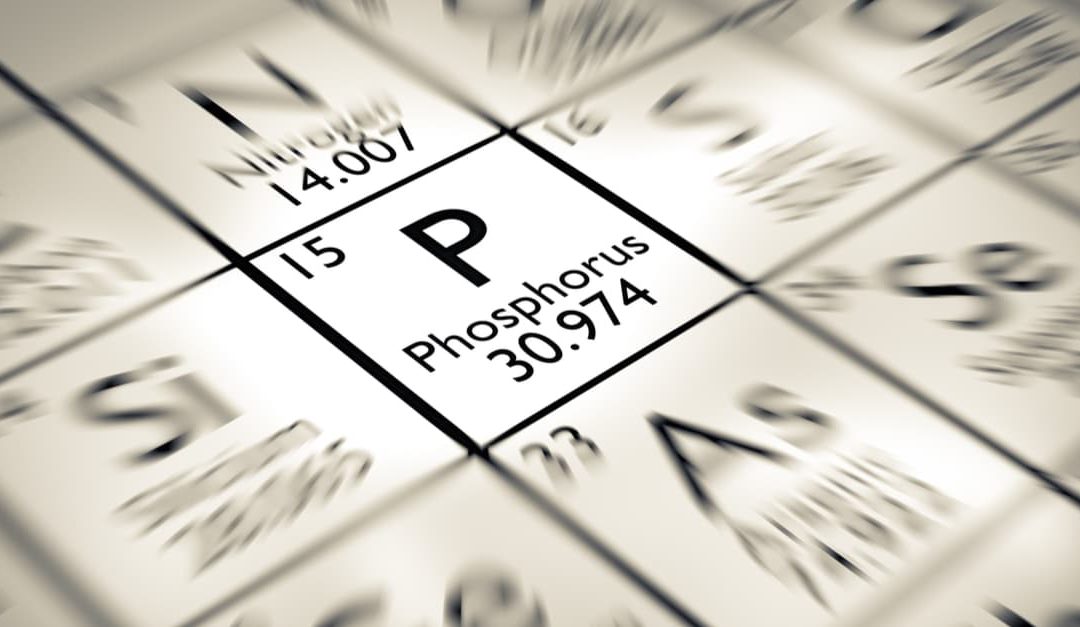 The Importance of Phosphorus in the Human Body - SCALAR LIGHT